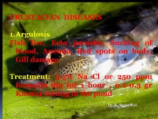 Fish diseases | PPTX | Diseases and Conditions | Medical Health