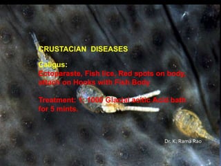 Fish diseases | PPTX