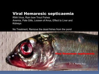 Fish diseases | PPTX