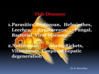 Fish diseases | PPT