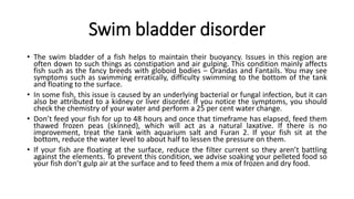 An Overview of Fish Diseases in India.pptx