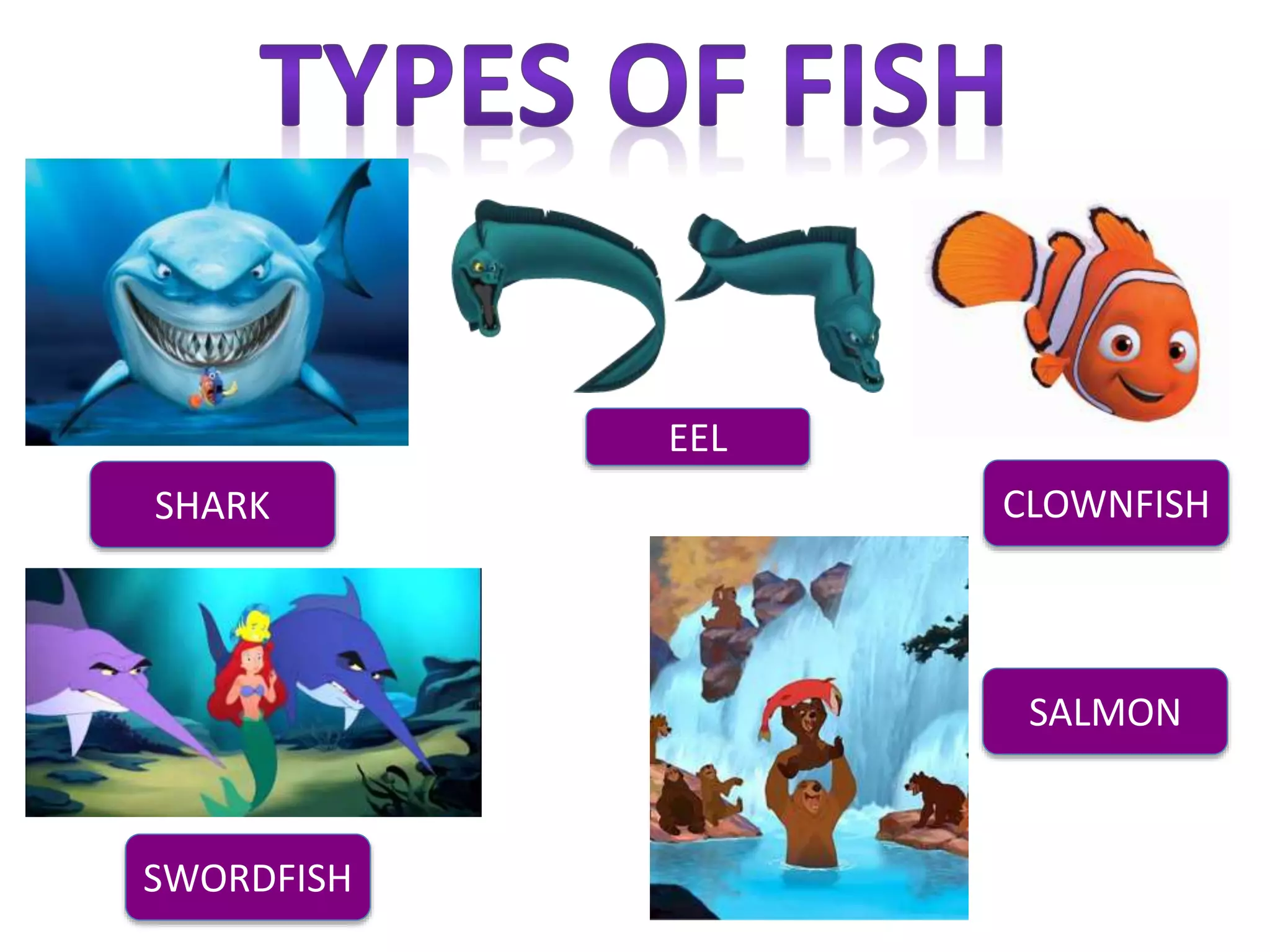 Fish disney | PPTX | Fish and Aquariums | Pets