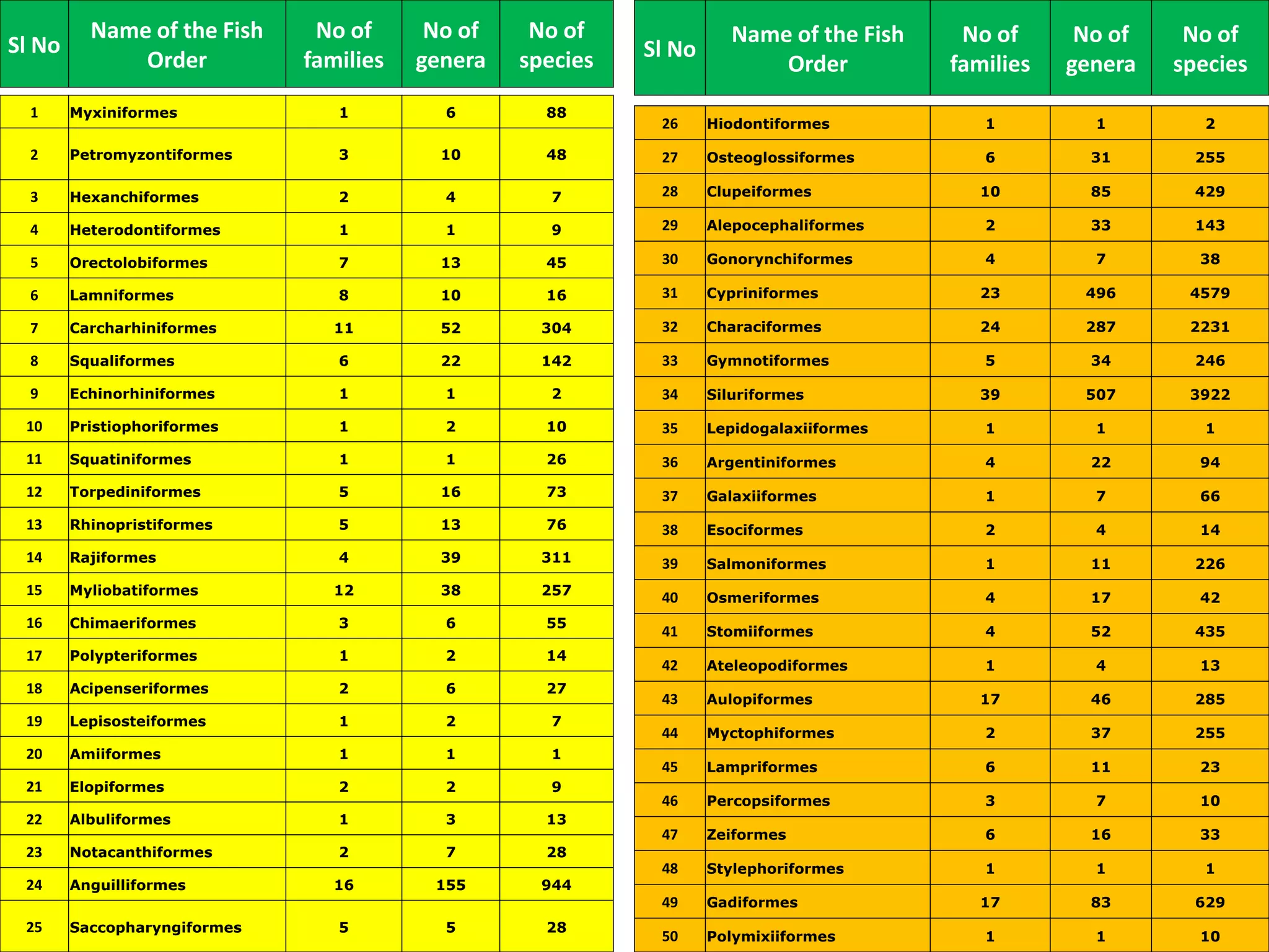 Fish diversity of the world and India | PDF