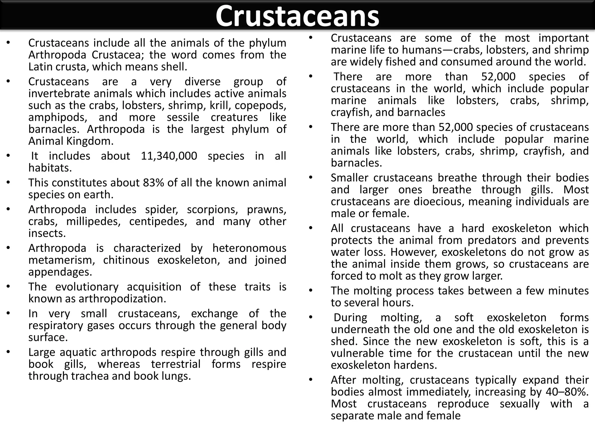 Fish diversity of the world and India | PDF