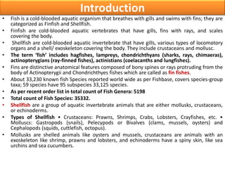 Fish diversity of the world and India | PDF