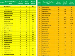 Fish diversity of the world and India | PDF