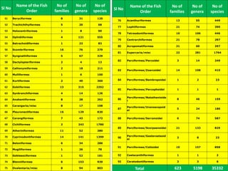 Fish diversity of the world and India | PDF