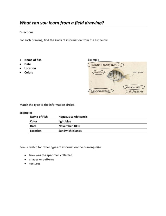 What Can You Learn From a Fish Drawing? | PDF