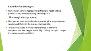 Fish Ecology department of zoology in 8th | PPT