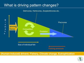 Drivers for change in fish community structure | PPT
