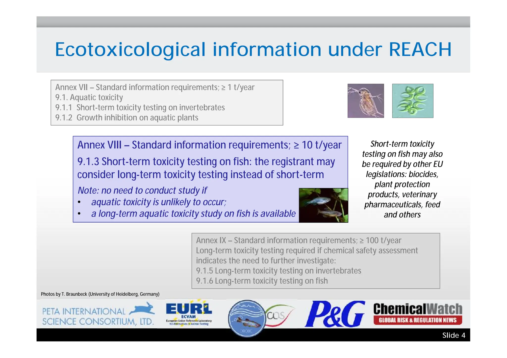 Fish Embryo Webinar on toxicity and teratogenicity | PDF