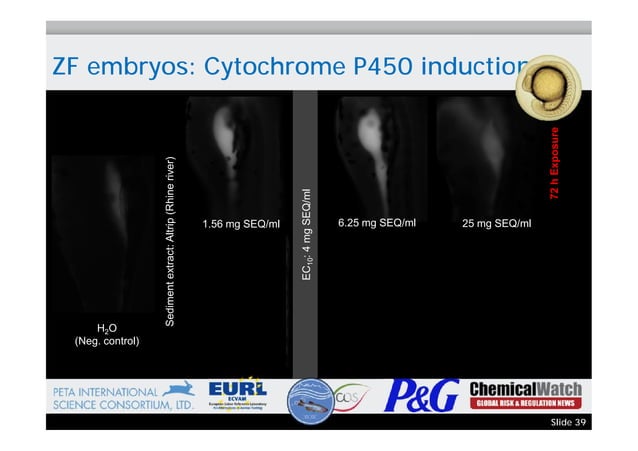Fish Embryo Webinar on toxicity and teratogenicity | PPT
