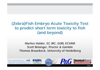 Fish Embryo Webinar on toxicity and teratogenicity | PDF