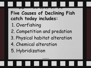 Fisheries (business feasibility study) | PPTX