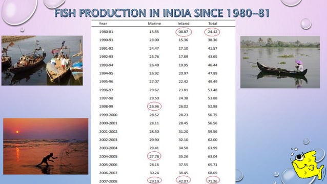 Fisheries and other alternative livelihood options in the rural areas ...