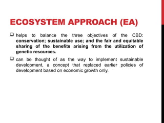 Fisheries-management-and-the-ecosystem.pptx
