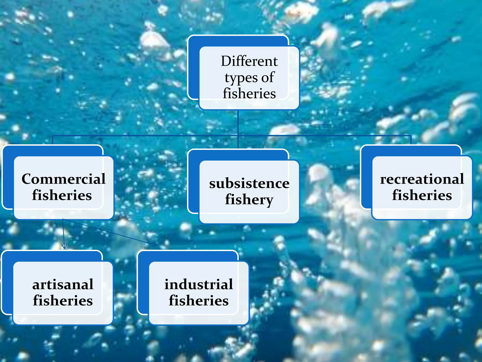 Fisheries An Emerging Enterprise | PPTX