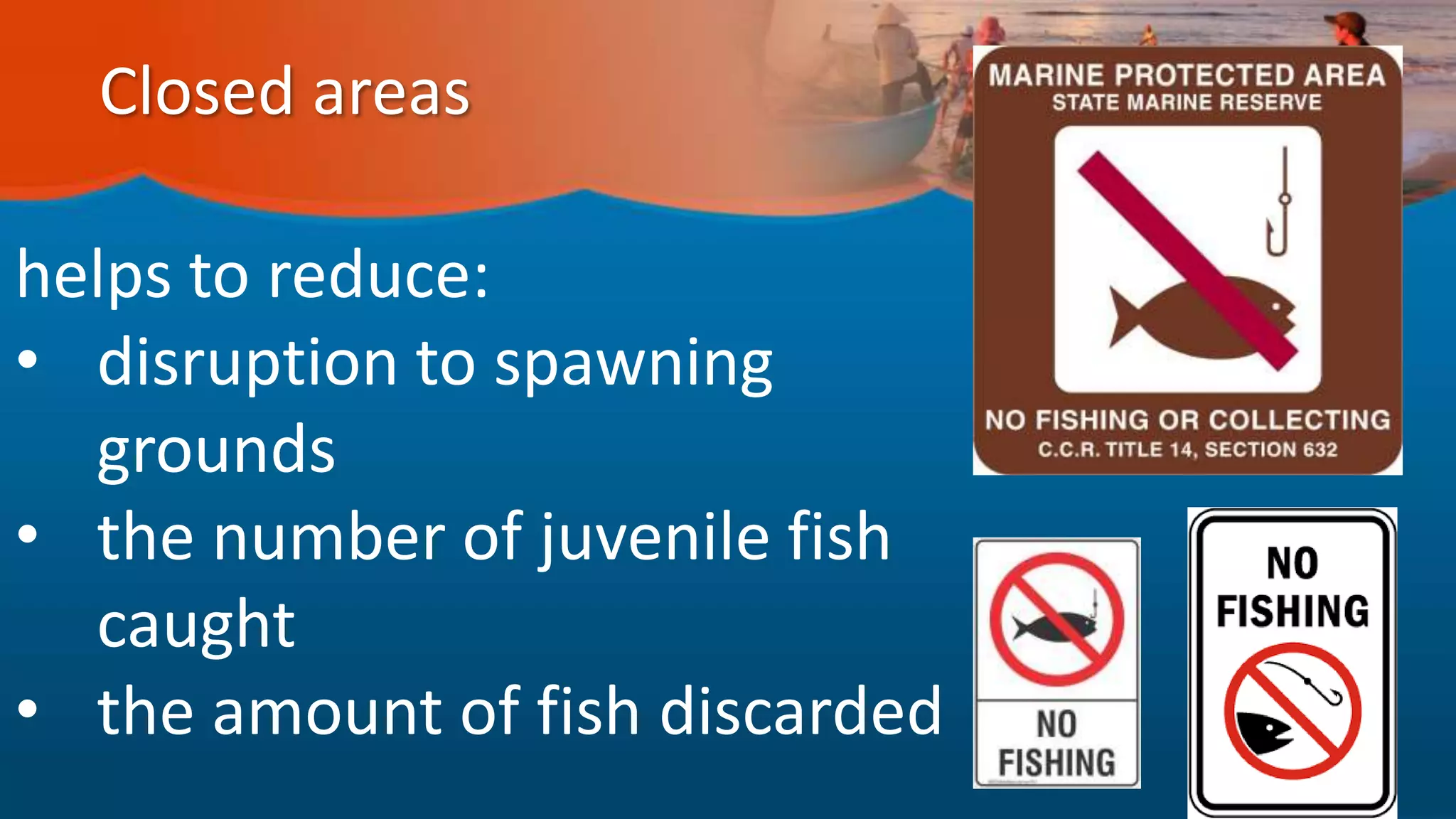 Fisheries management (Intermediate Marine Science) | PPTX