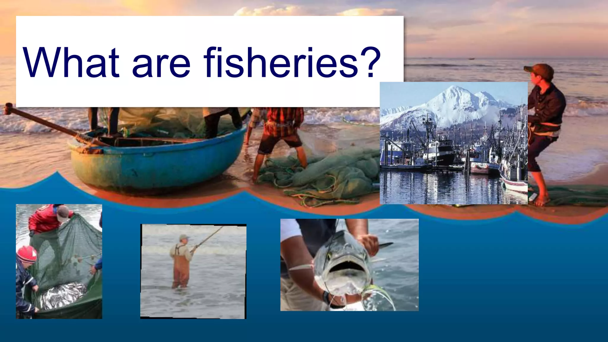 Fisheries management (Intermediate Marine Science) | PPTX