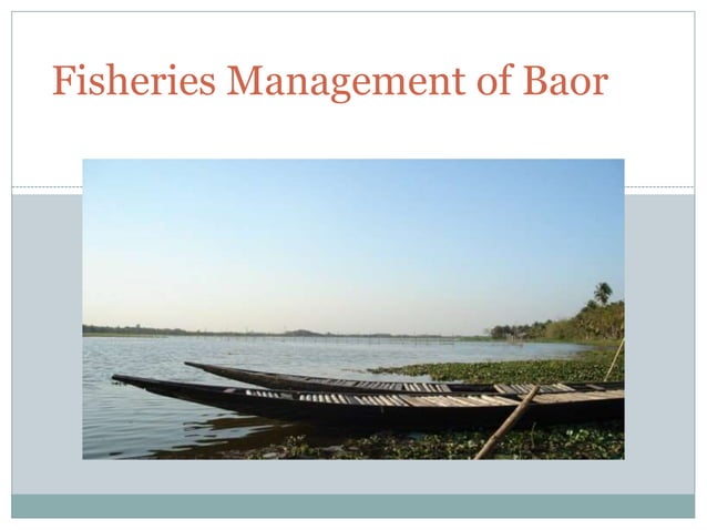 Fisheries management of baor | PPT