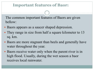 Fisheries management of baor | PPTX