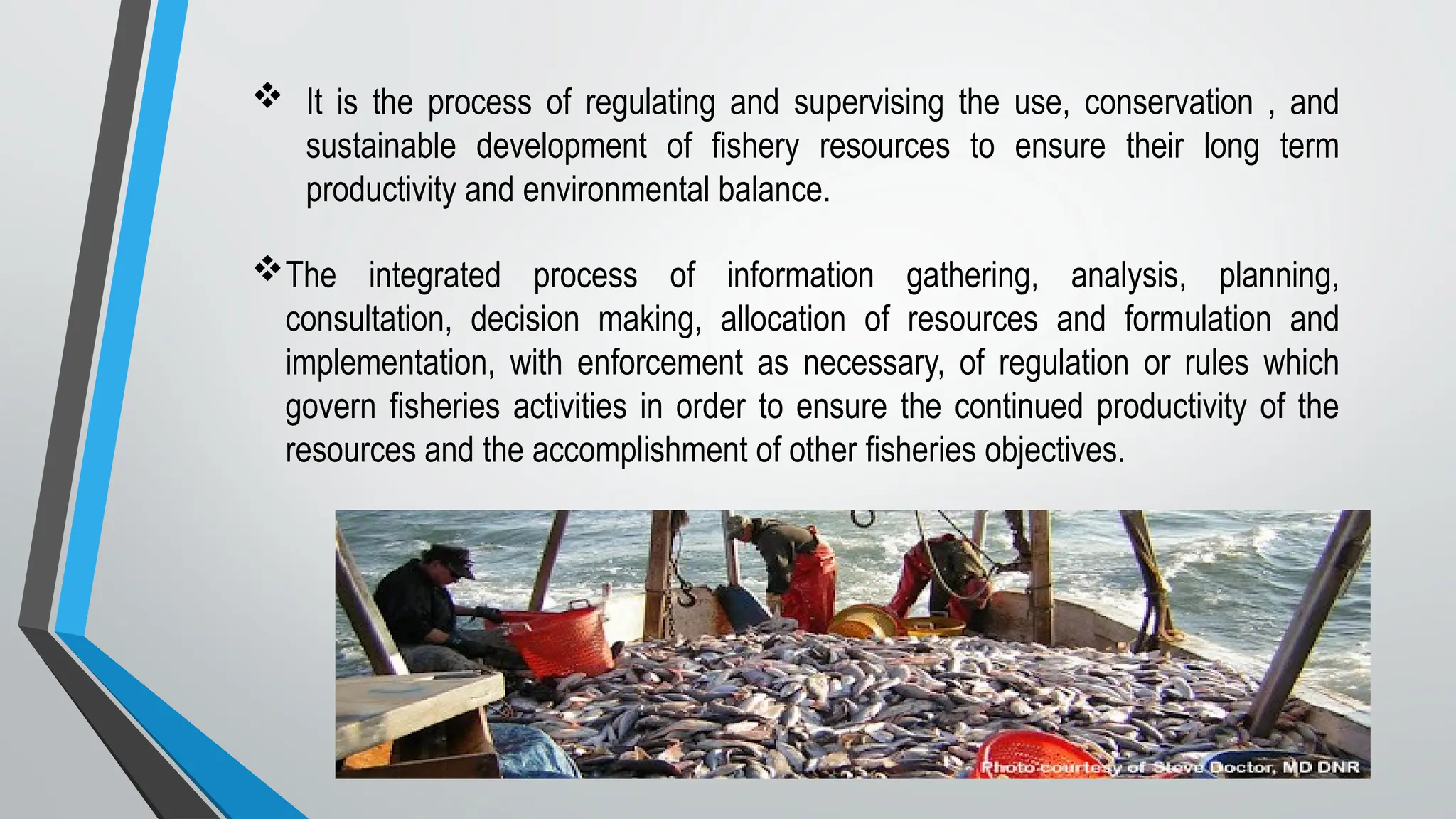 FISHERIES MANAGEMENTTTTTTTTTT PPT 1.pptx