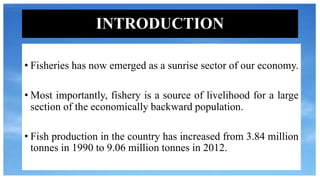 Fisheries regulatory and developmetal setup in centre and | PPTX
