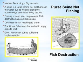 Fishermen And Fishing | PPT