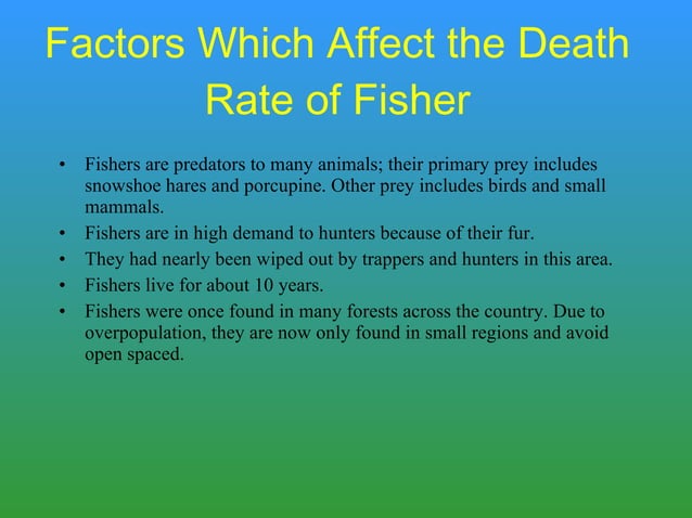 Jess Merchant-Fisher pp | PPT