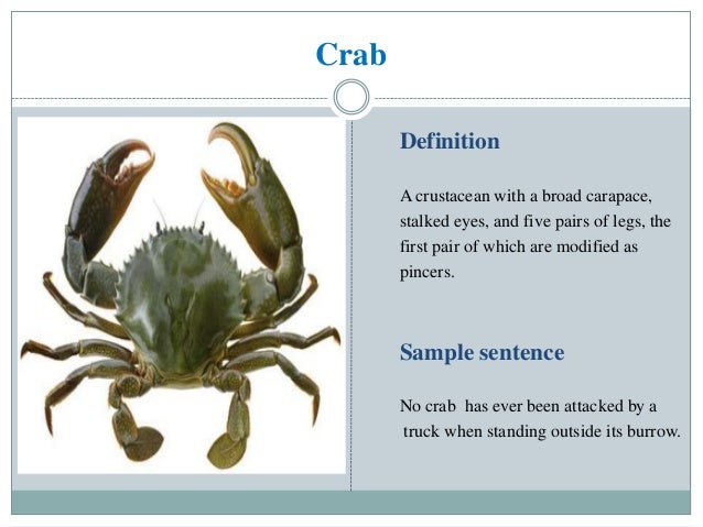 Crustaceans Meaning