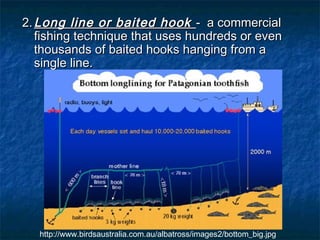 Fishery | PPT