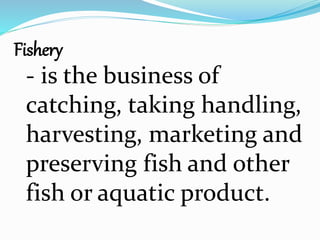 Fishery | PPTX