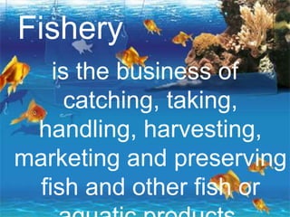 Fishery | PPTX