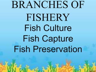 Fishery | PPTX