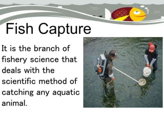 Fishery | PPTX