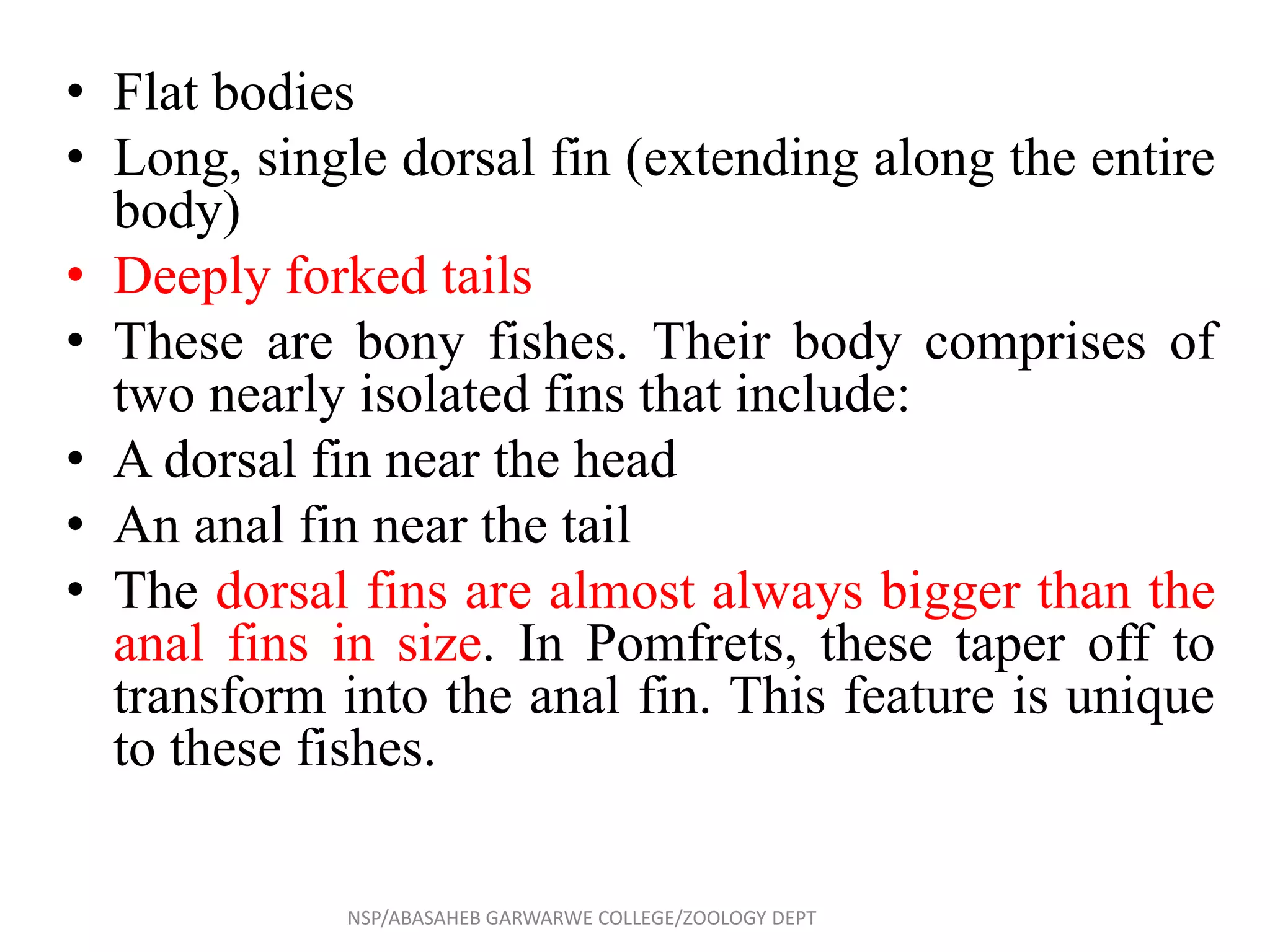 Economic important fishes | PPTX