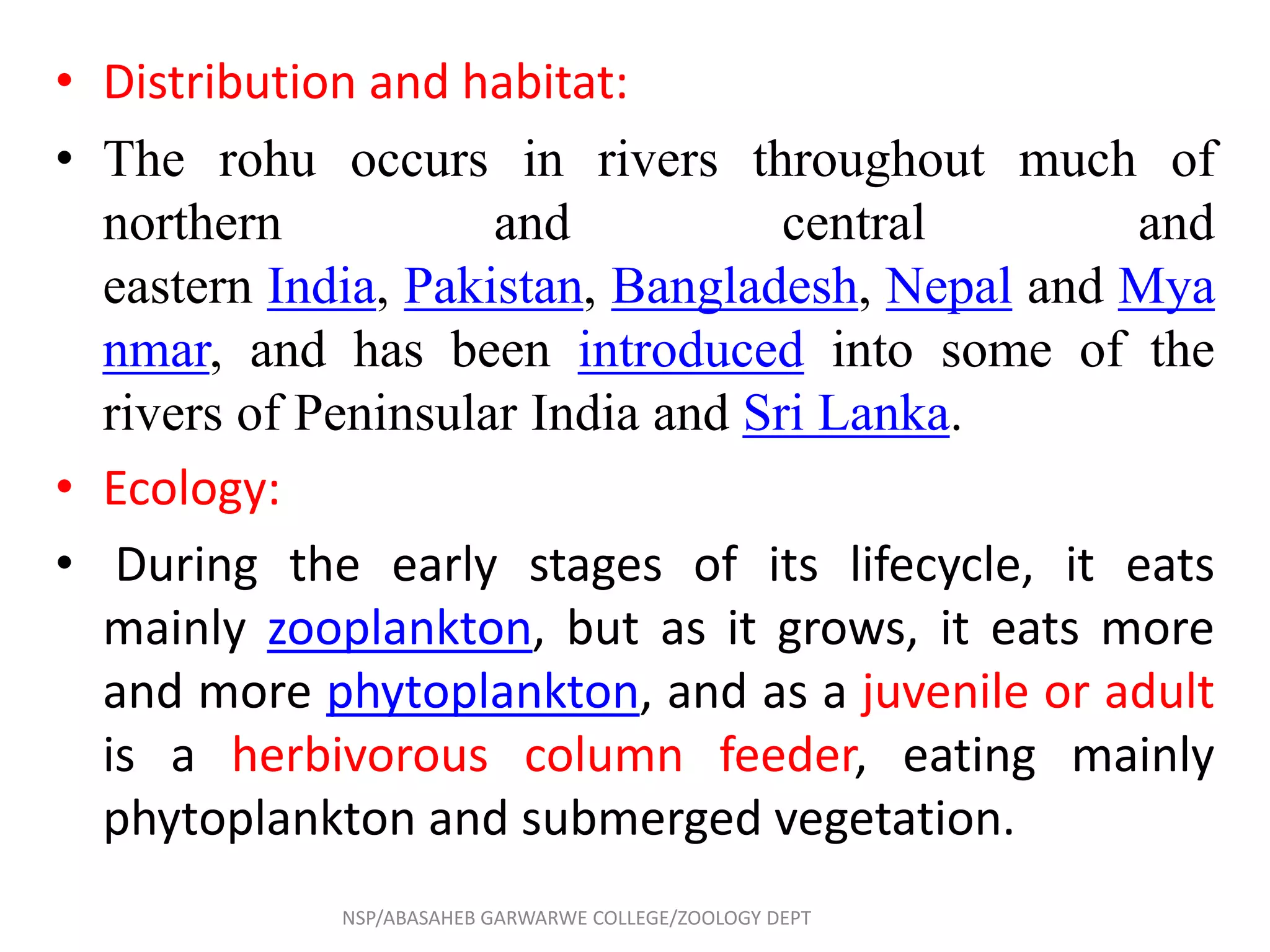 Economic important fishes | PPTX