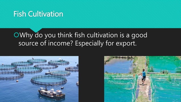 Fishery 8 | PPTX | Fishing Sports | Sports