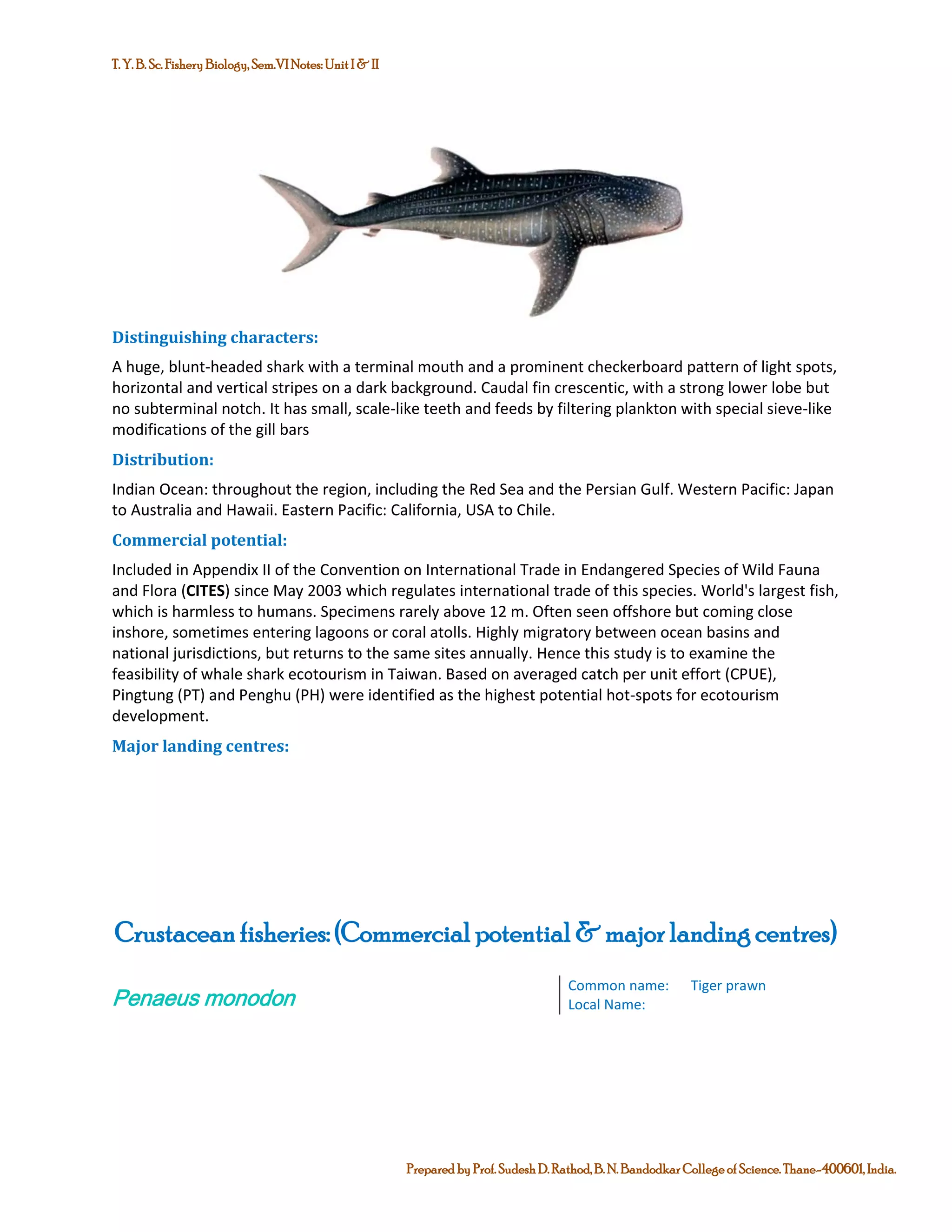Marine Commercial Fin- fish and Shell-finsh Fisheries of India | PDF