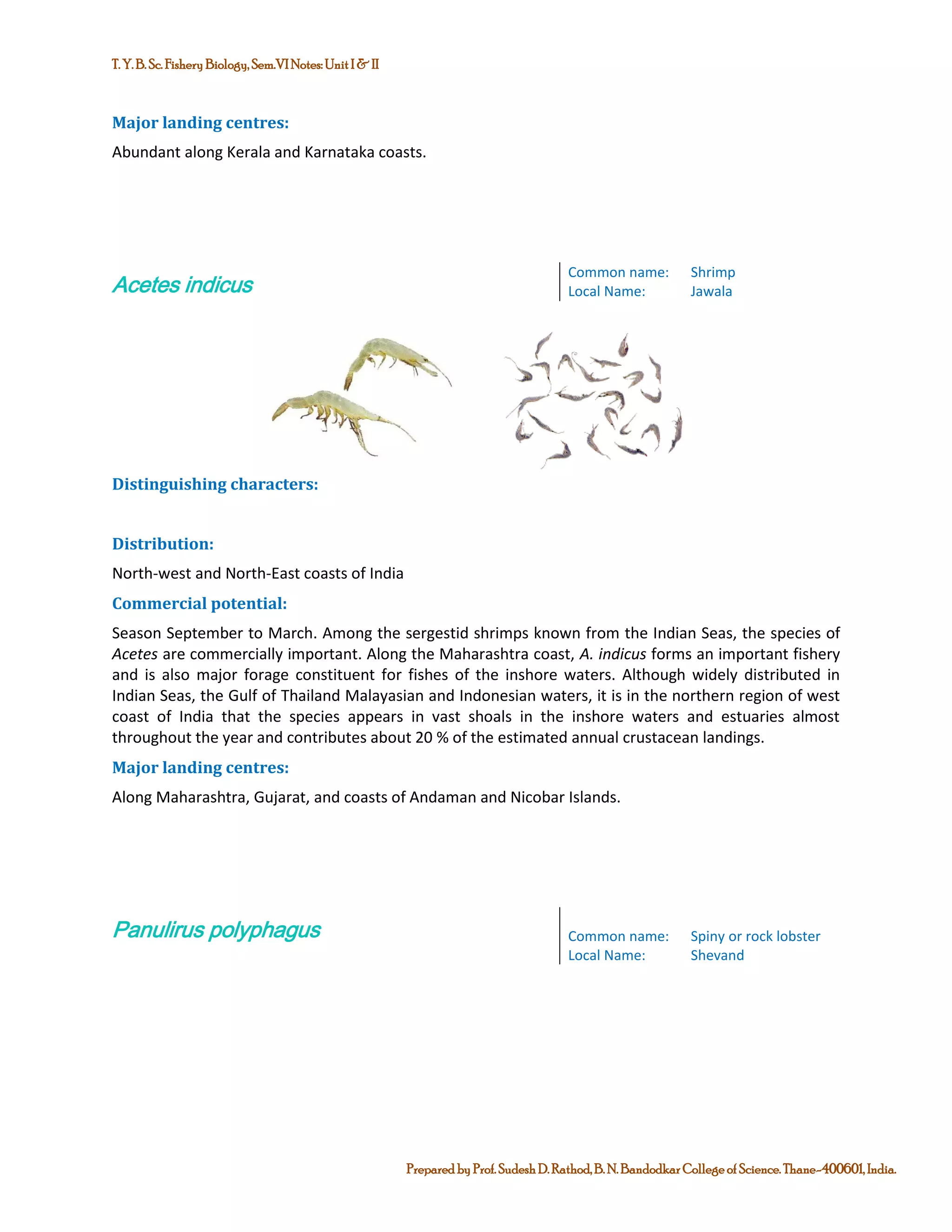 Marine Commercial Fin- fish and Shell-finsh Fisheries of India | PDF