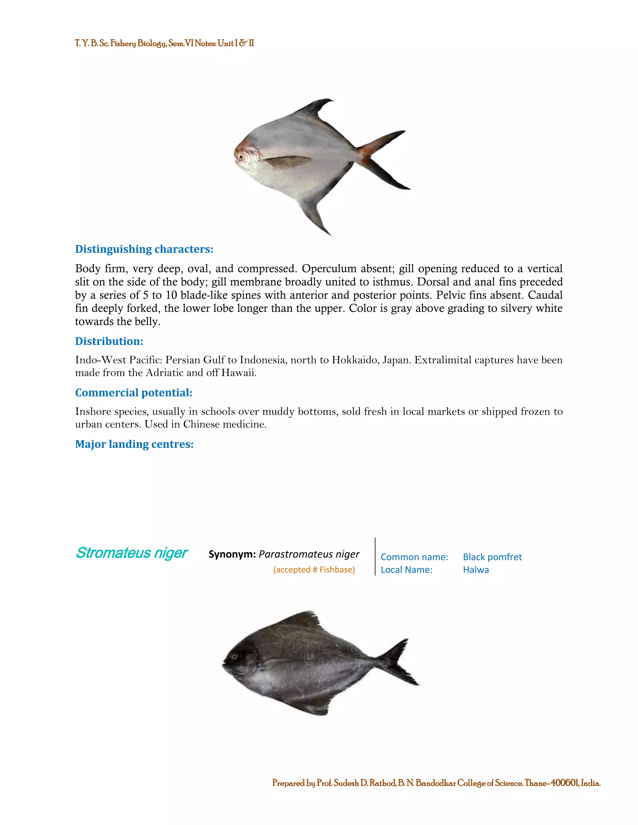 Marine Commercial Fin- fish and Shell-finsh Fisheries of India | PDF