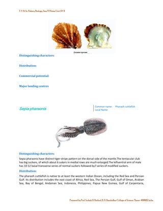 Marine Commercial Fin- fish and Shell-finsh Fisheries of India | PDF