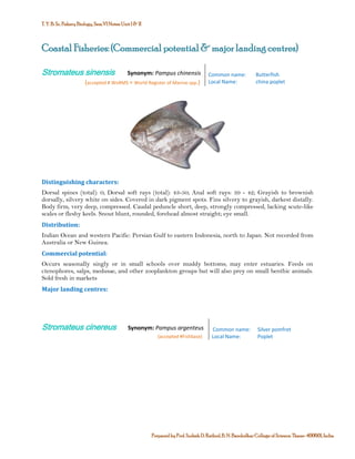 Marine Commercial Fin- fish and Shell-finsh Fisheries of India | PDF