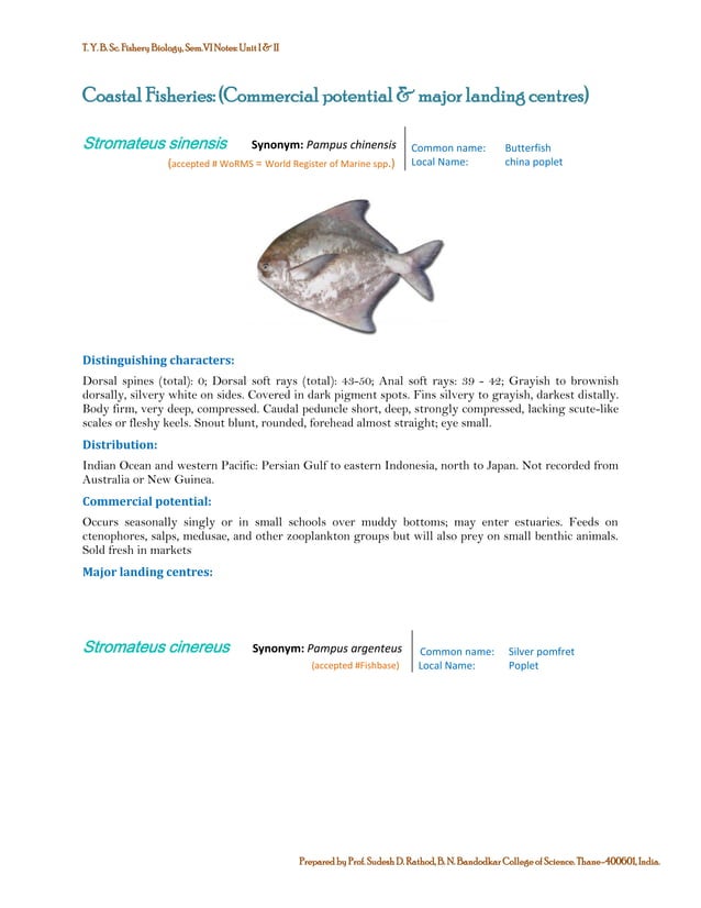 Marine Commercial Fin- fish and Shell-finsh Fisheries of India | PDF ...