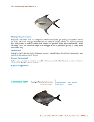Marine Commercial Fin- fish and Shell-finsh Fisheries of India | PDF