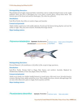 Marine Commercial Fin- fish and Shell-finsh Fisheries of India | PDF