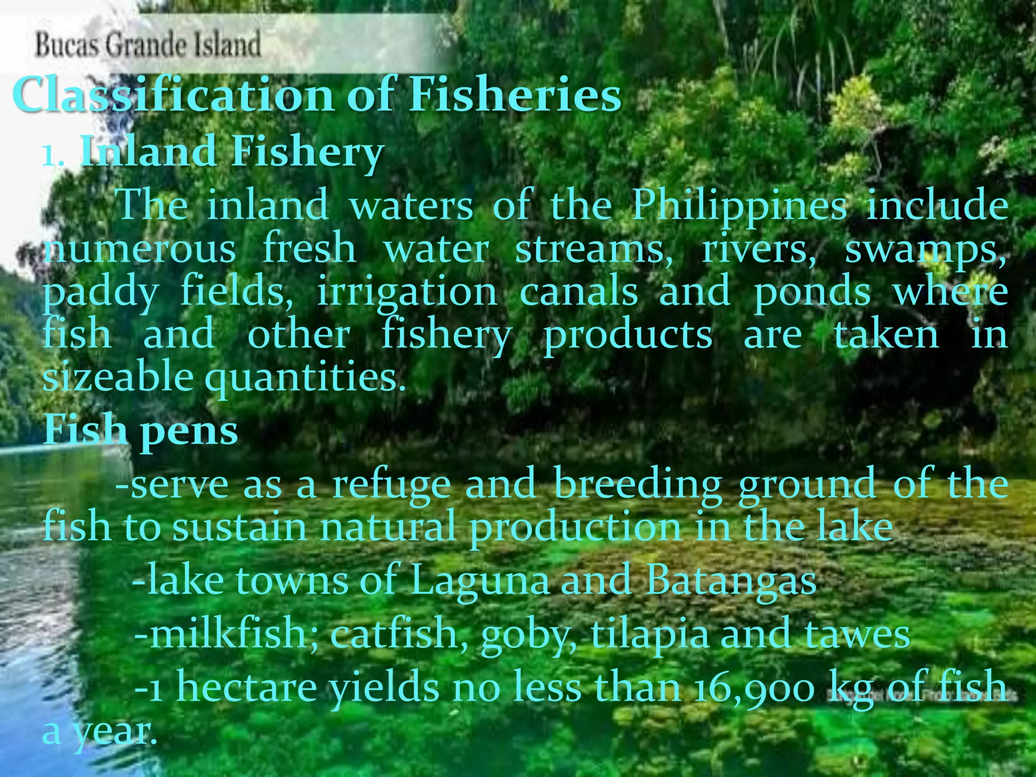 Fishery in Philippines | PPTX