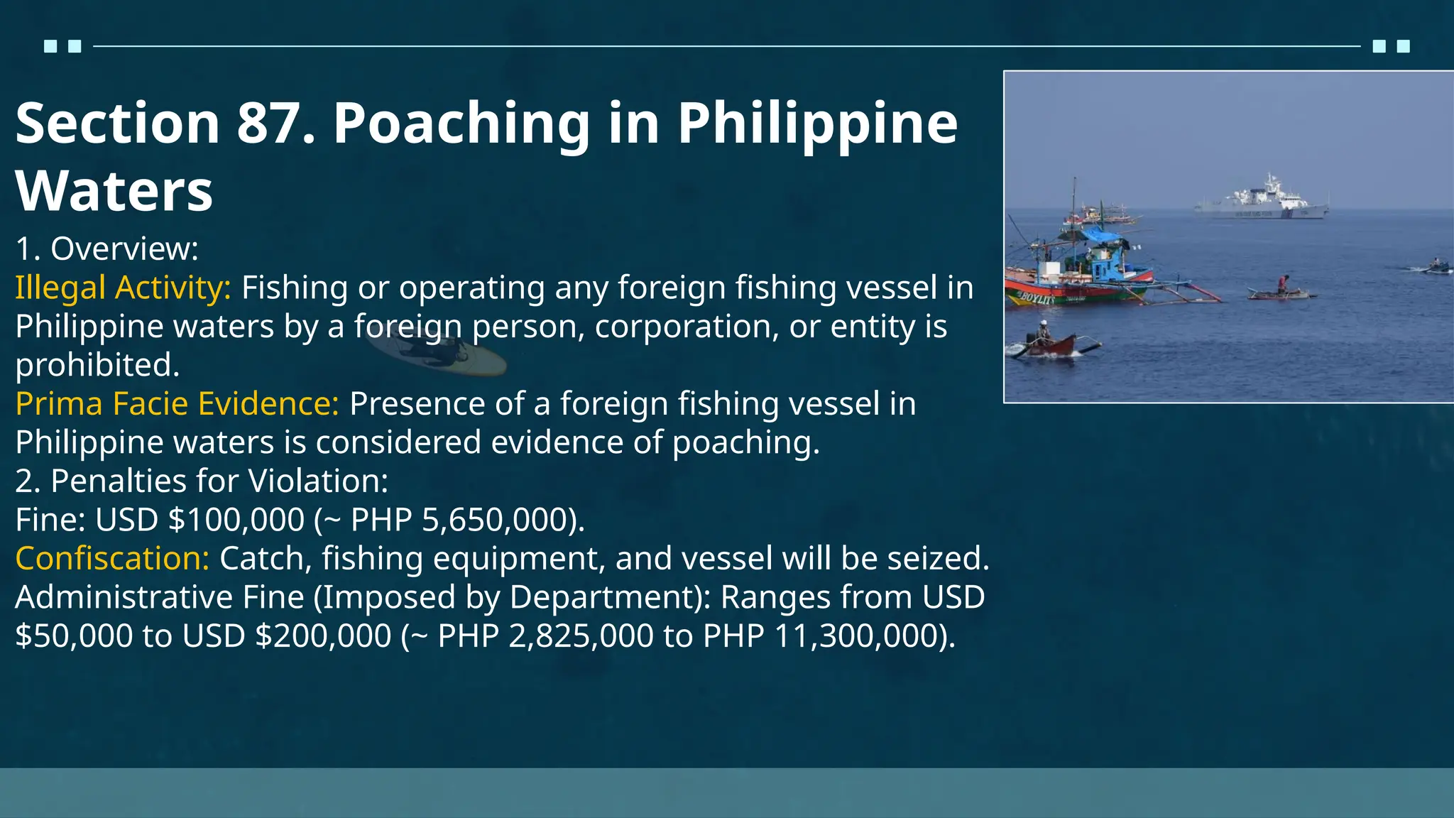 Philippine Fisheries Law (Chapter VI).pptx