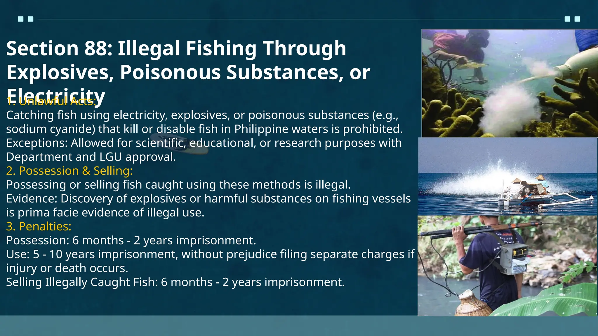 Philippine Fisheries Law (Chapter VI).pptx