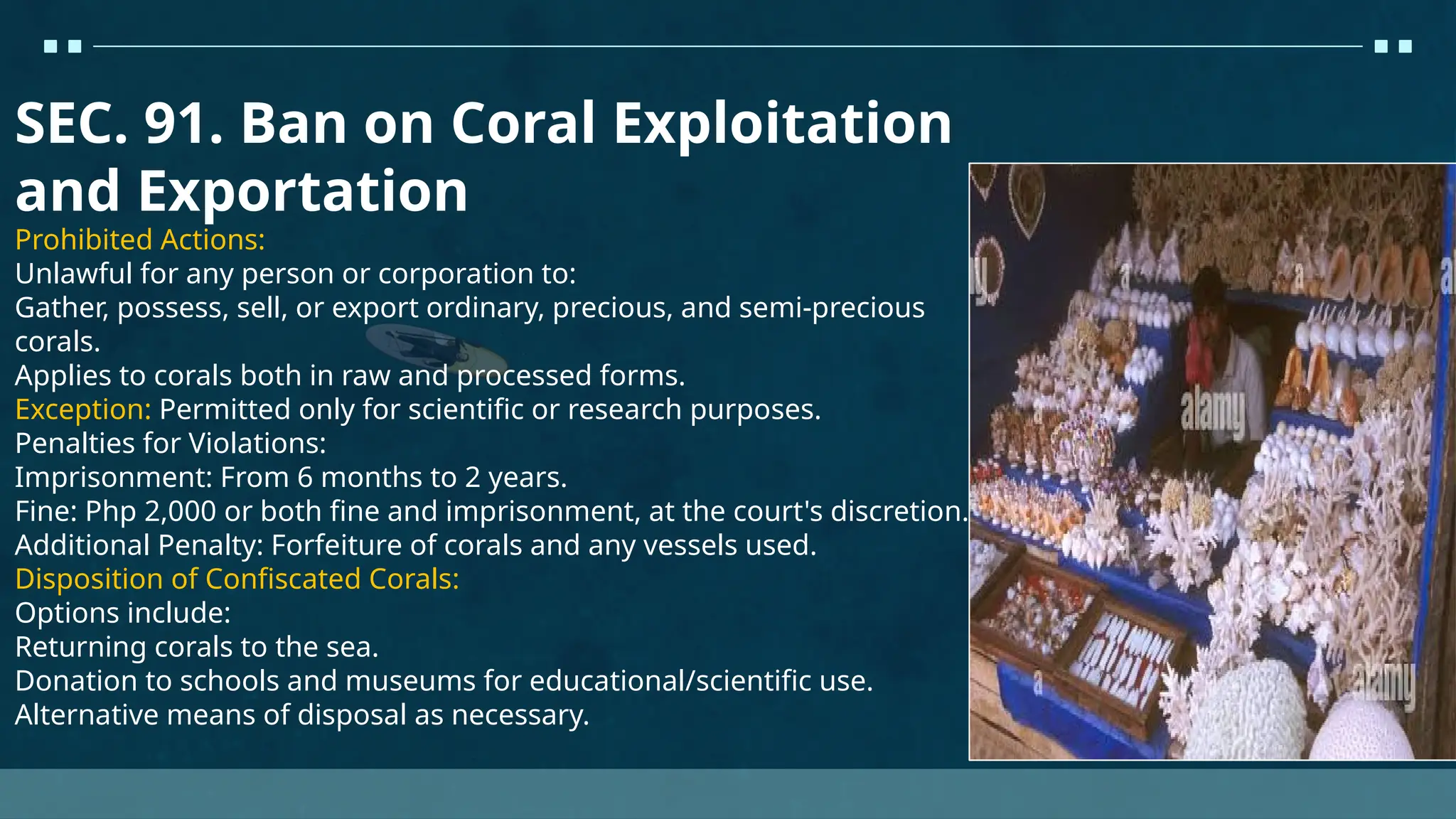 Philippine Fisheries Law (Chapter VI).pptx